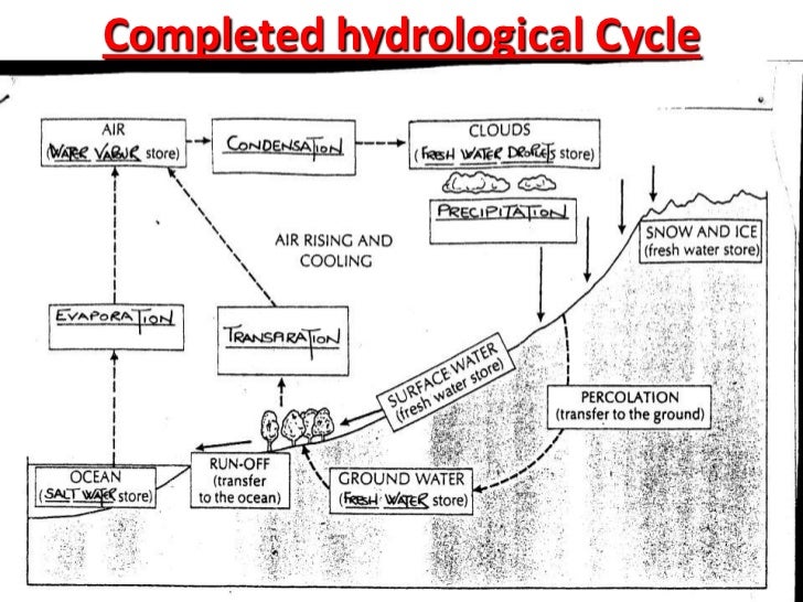 The hydrological cycle