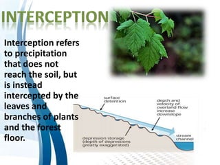 The hydrological cycle | PPTX