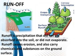 The hydrological cycle | PPTX
