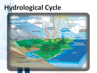 The hydrological cycle | PPTX