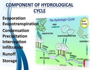 The hydrological cycle | PPTX