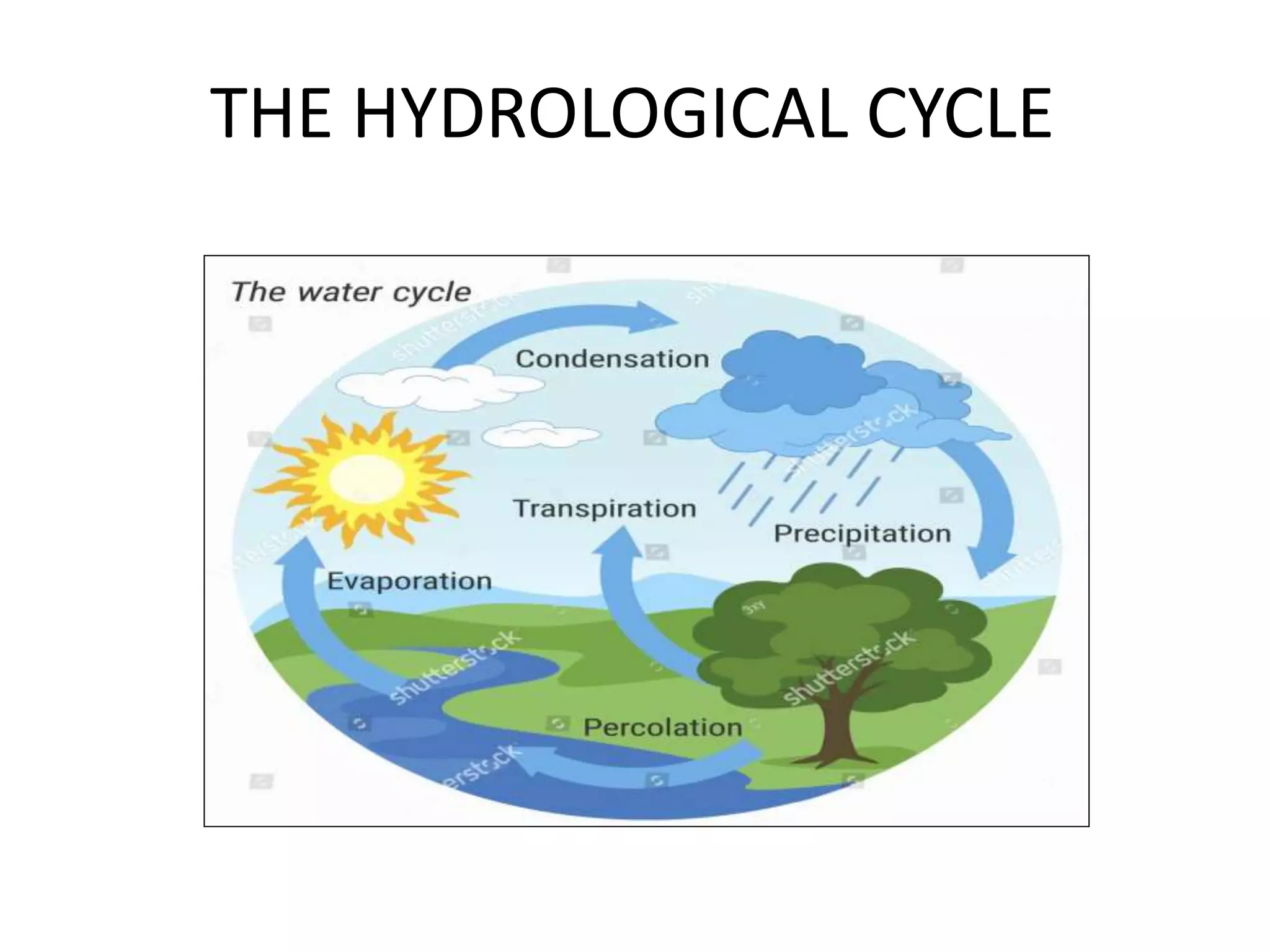 The hydrological cycle | PPTX