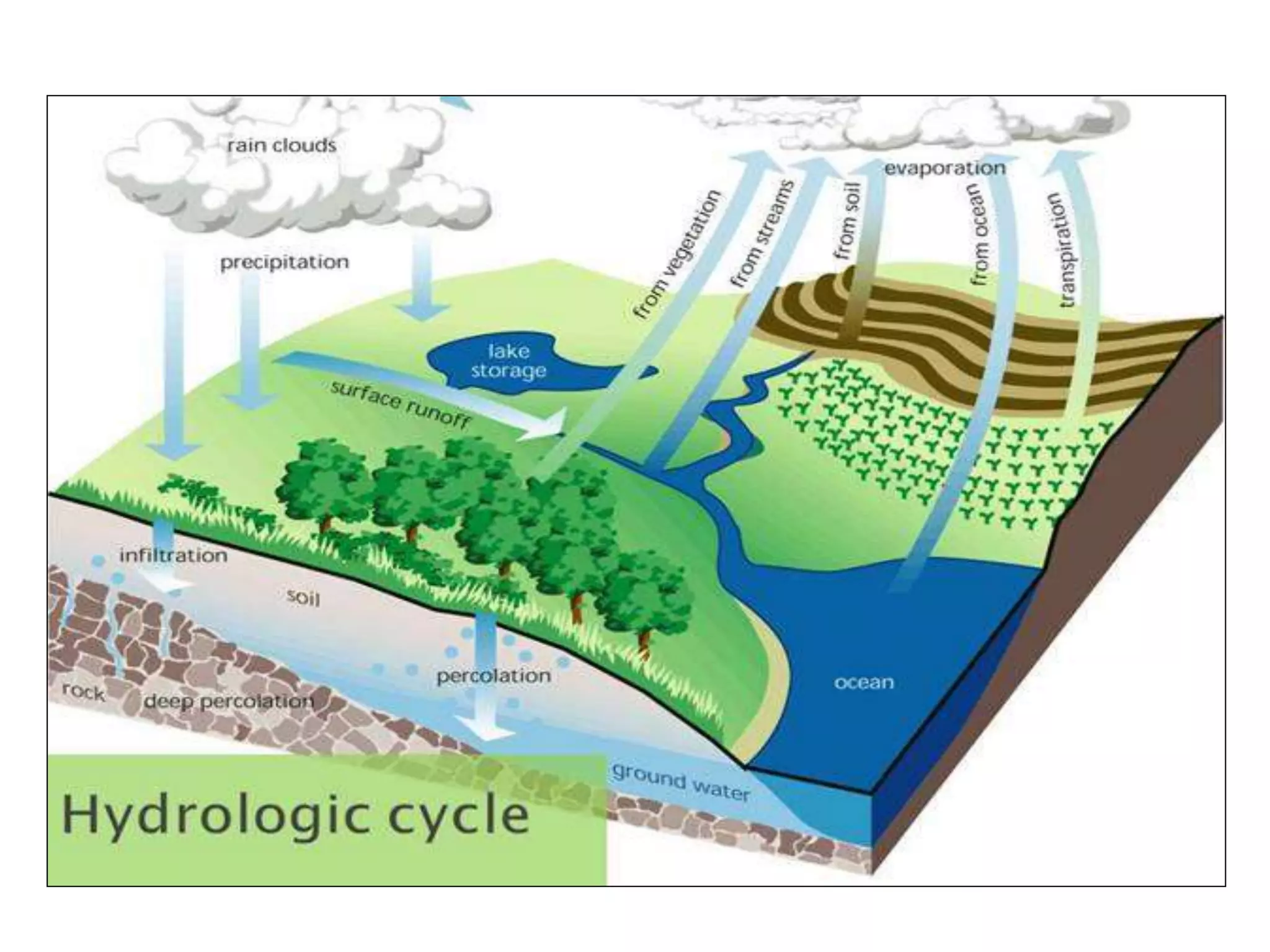 The hydrological cycle | PPTX