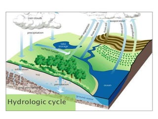 The hydrological cycle | PPTX