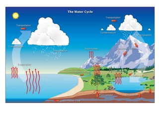 The hydrological cycle | PPTX