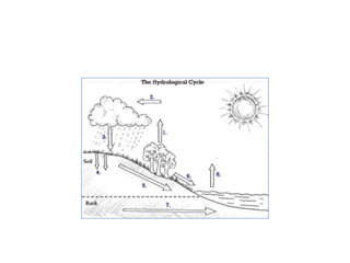 The hydrological cycle | PPTX