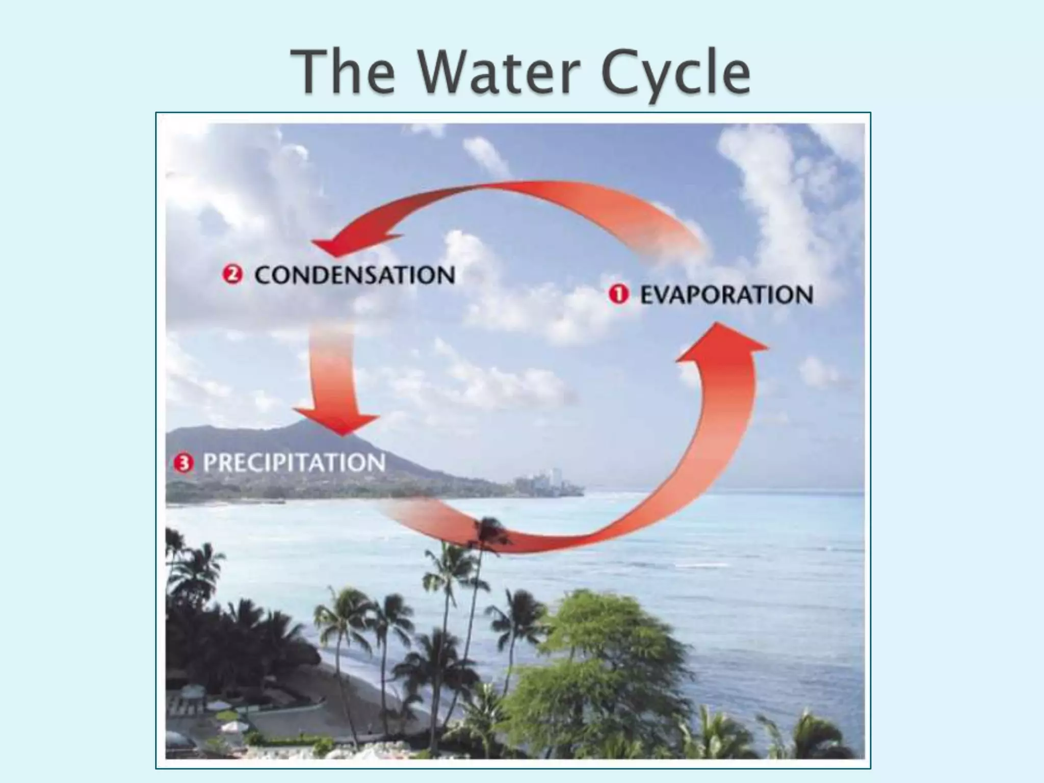 The Hydrosphere And Biosphere | PPTX