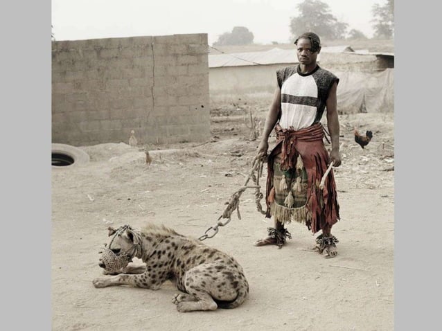 The hyena handlers of nigeria | PPTX