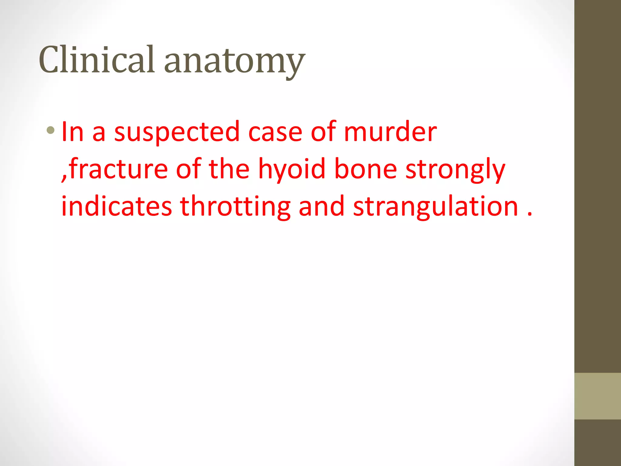 The hyoid bone | PDF