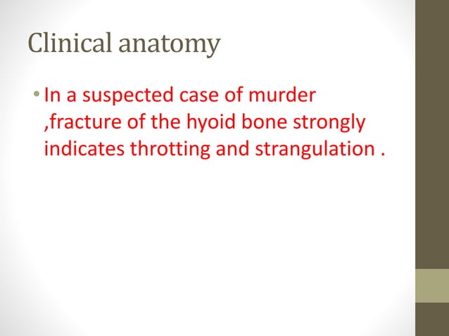 The hyoid bone | PPT