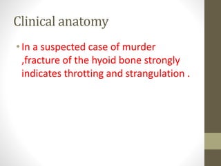 The hyoid bone | PPTX