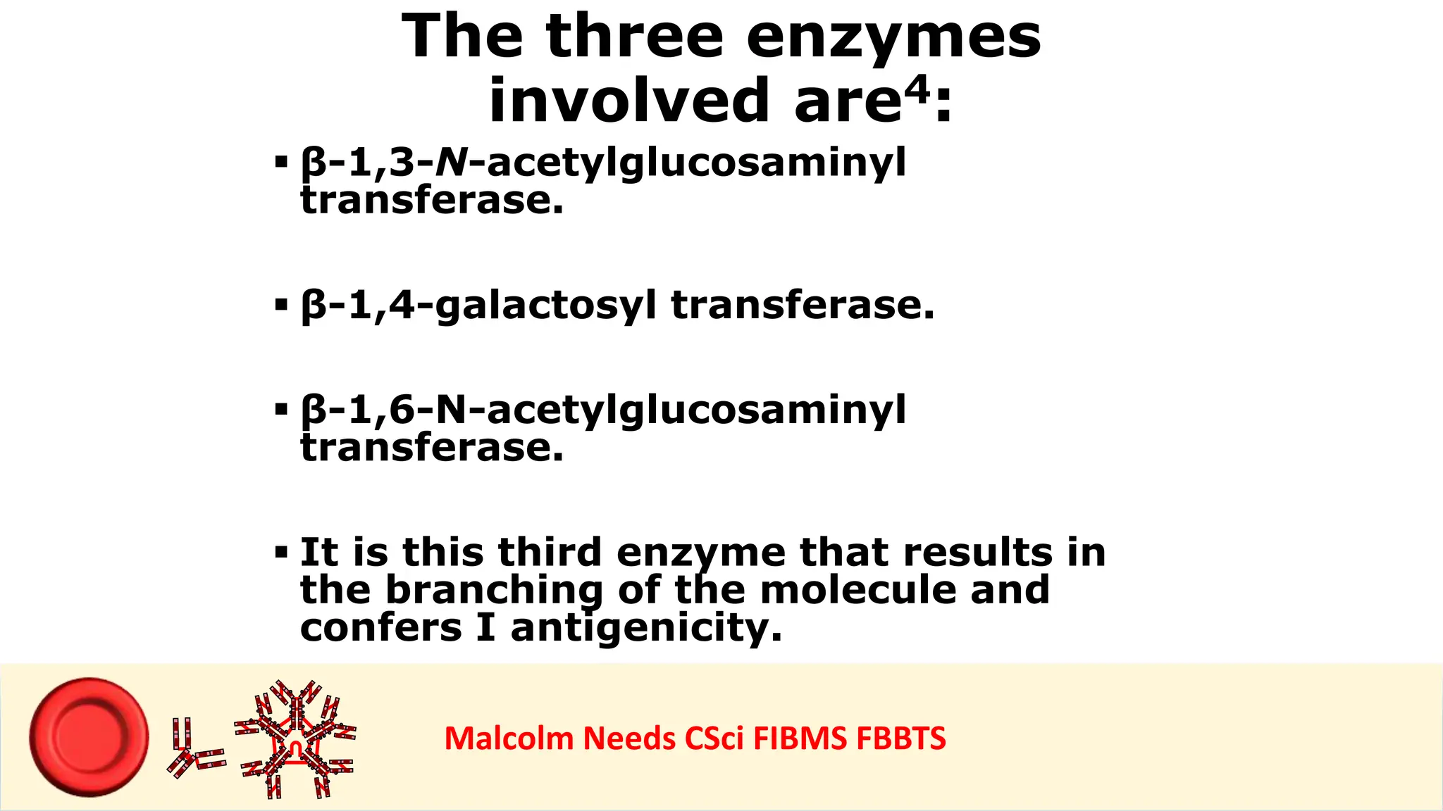 The I Blood Group System, and the Ii Blood Group Collection.pptx