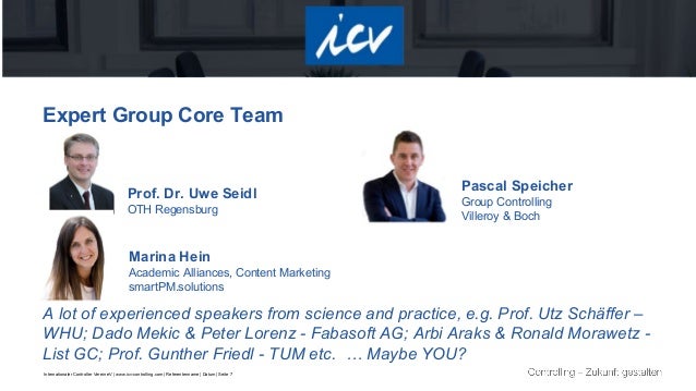 The icv expert group digital controlling competence | PDF