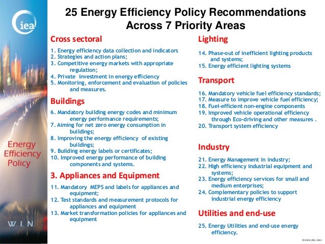 The Ieas 25 Energy Efficiency Policy Recommendations