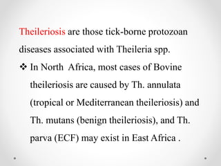 Theileriosis | PPTX