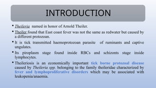 Bovine Theileriosis The Haemoprotoan Disease.pptx