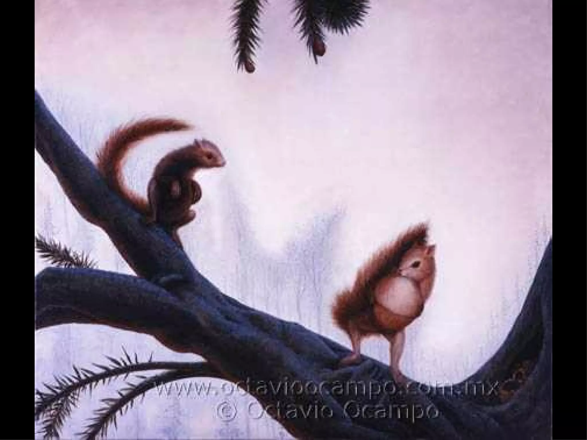 The Illusions of Octavio Ocampo | PPS