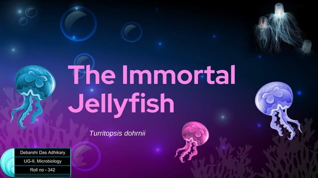 THE IMMORTAL JELLYFISH.pptx | Biological Sciences | Science