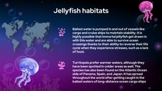 THE IMMORTAL JELLYFISH.pptx
