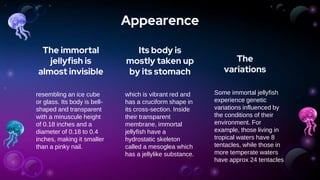 THE IMMORTAL JELLYFISH.pptx