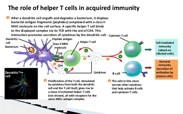 Blog Archives - sometrust