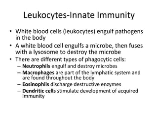The immune system | PPT