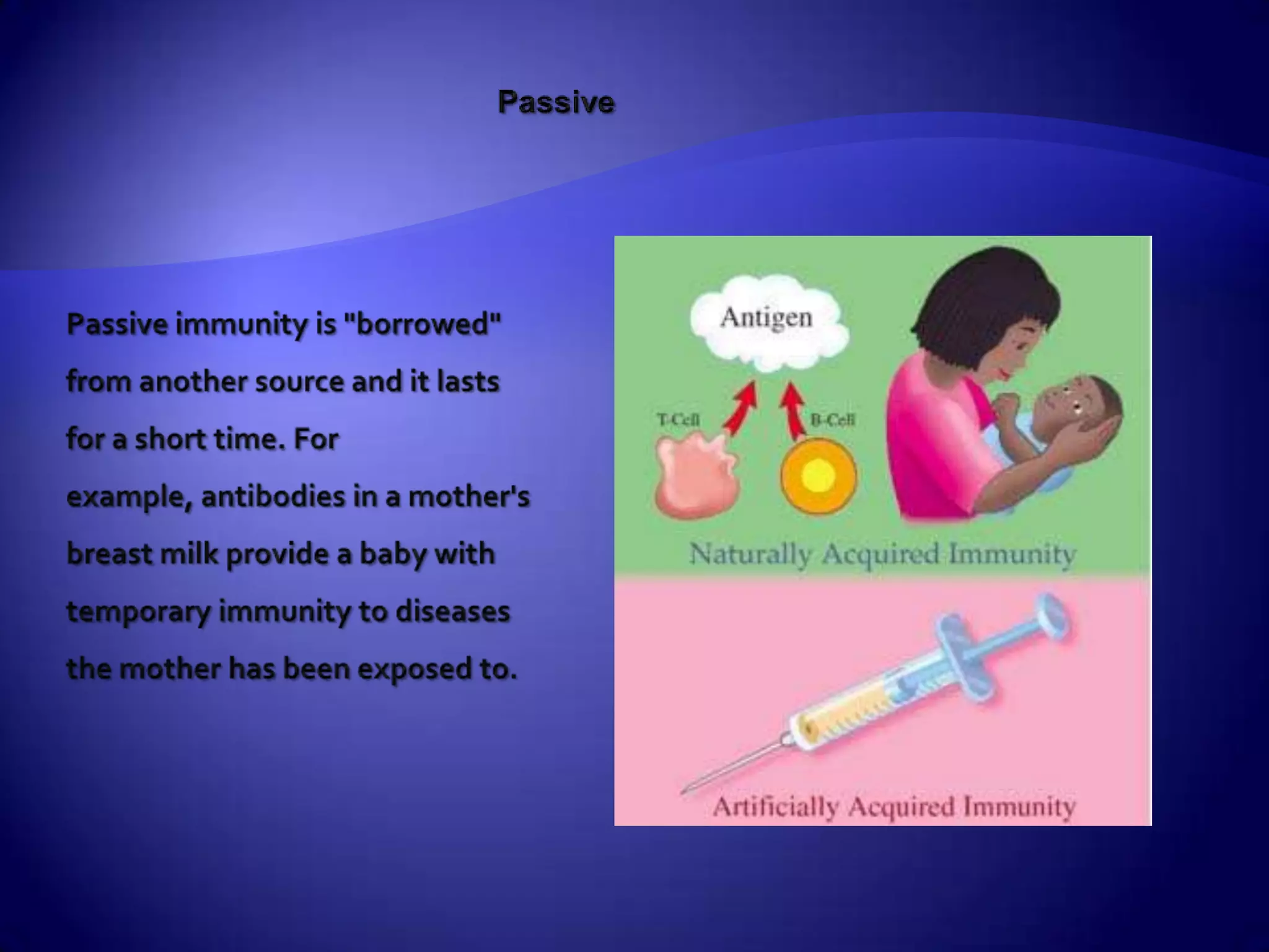 The immune system | PPTX