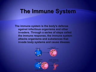 The immune system | PPTX