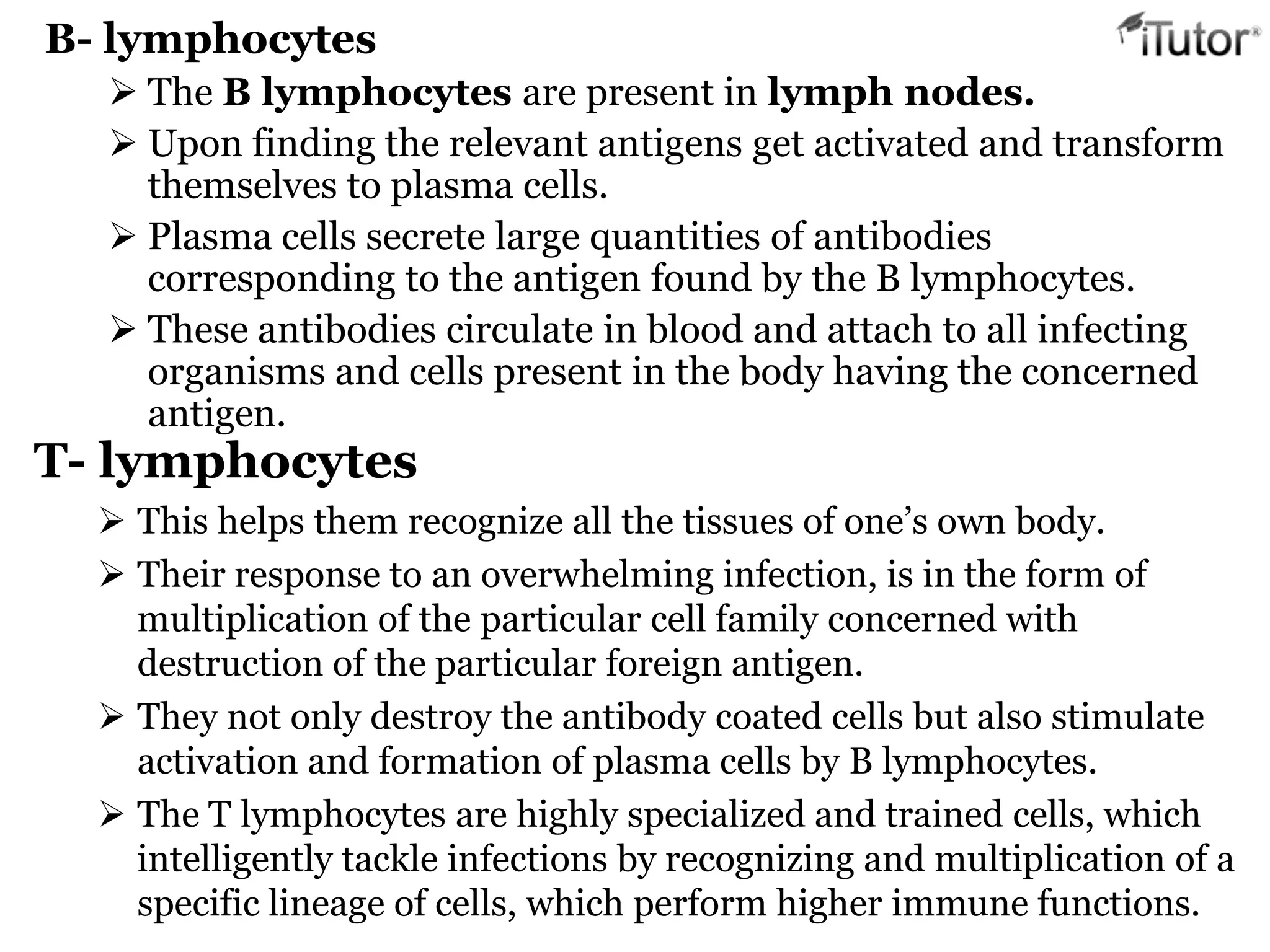 The Immune System | PPTX