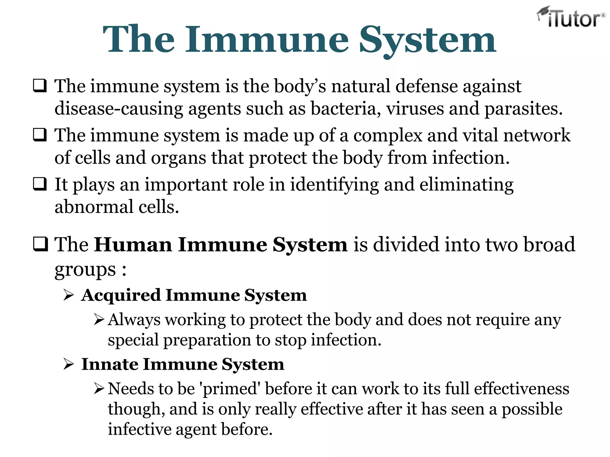The Immune System | PPTX