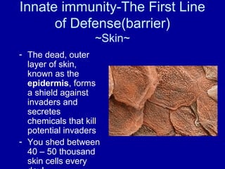 The immune system | PPT