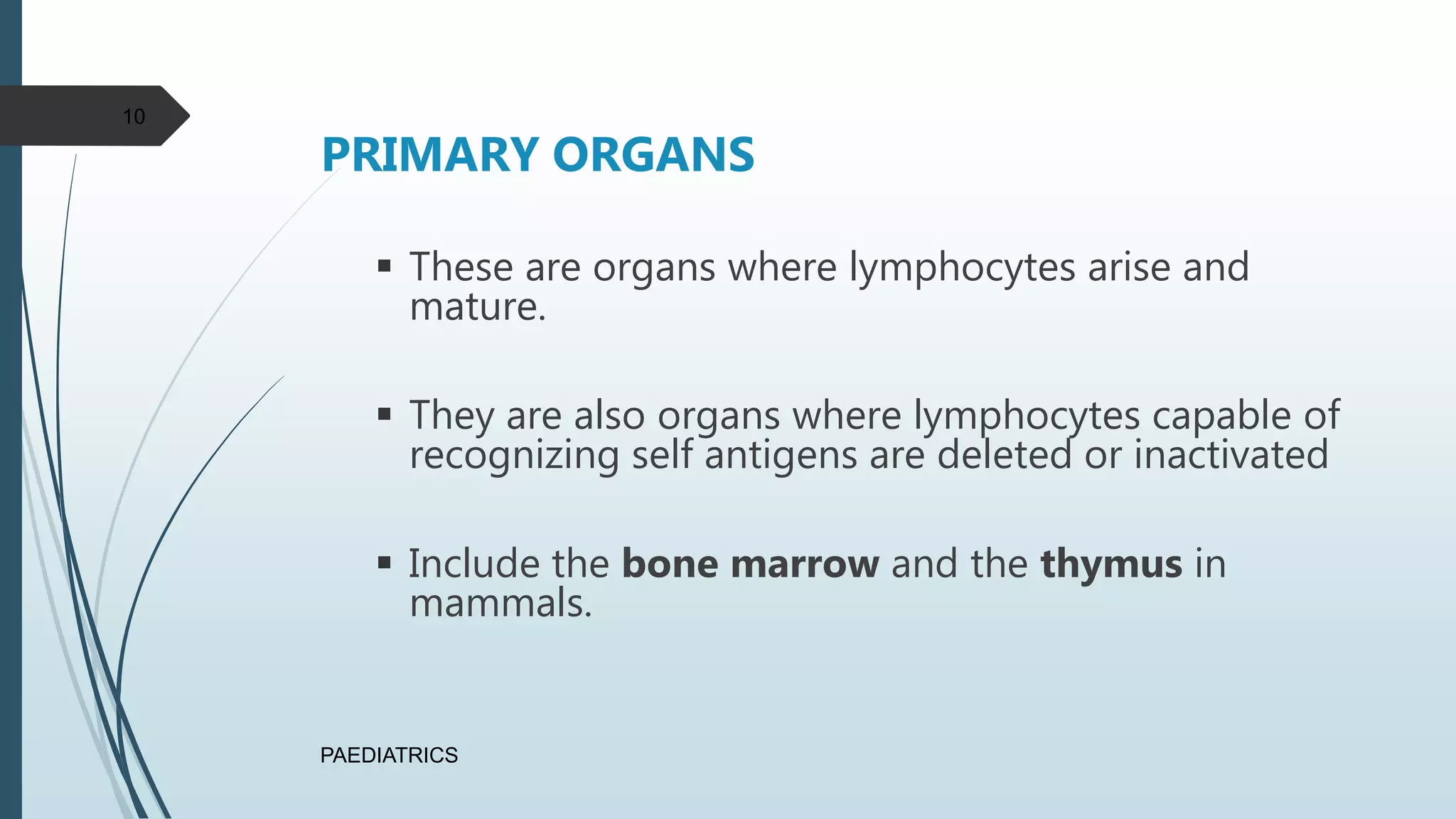The immune system | PPTX