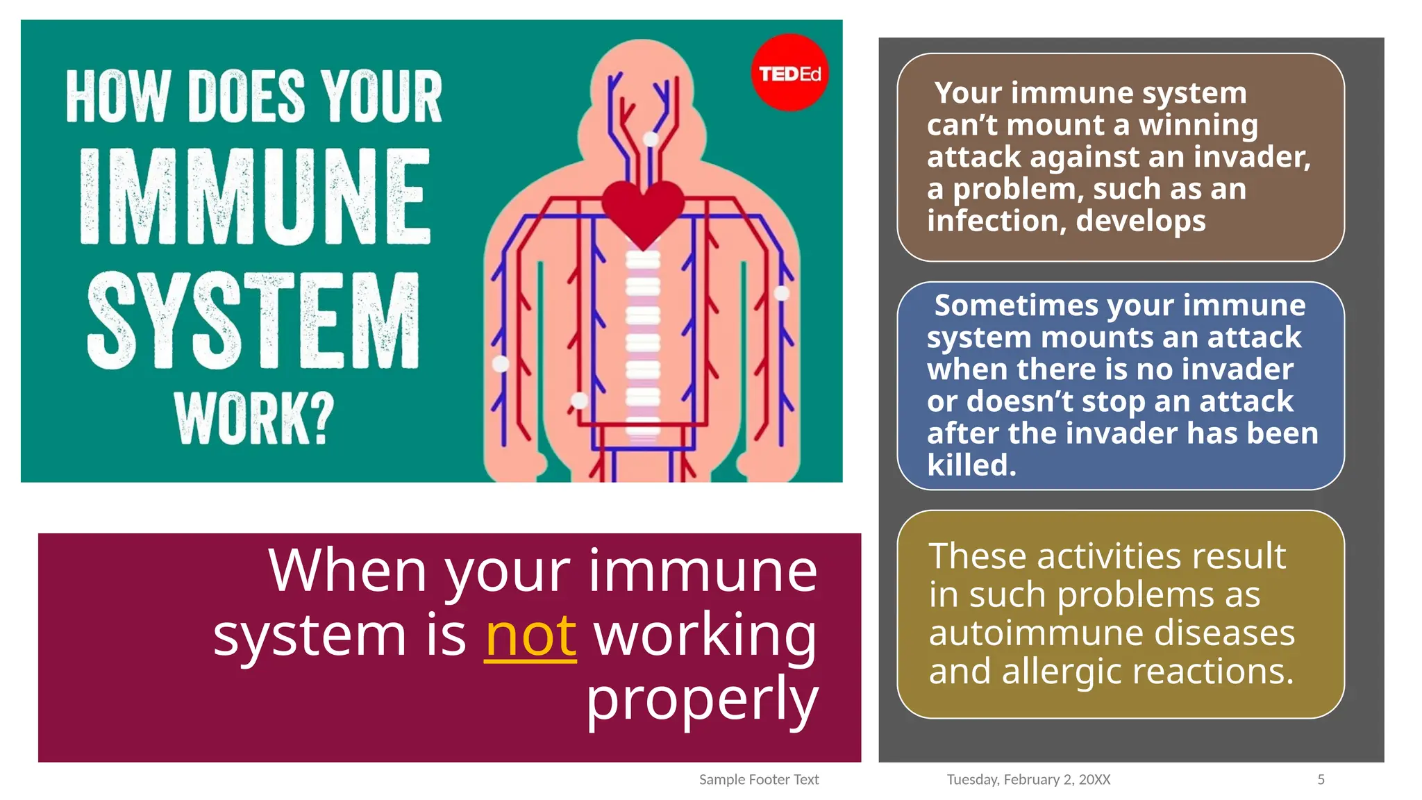 THE IMMUNE SYSTEM, COMMON DISEASES AND HERBAL MEDICINES | PPT