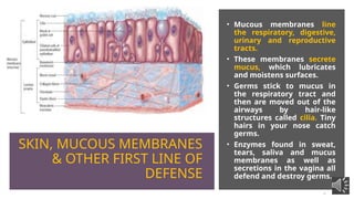 THE IMMUNE SYSTEM, COMMON DISEASES AND HERBAL MEDICINES | PPT