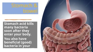 THE IMMUNE SYSTEM, COMMON DISEASES AND HERBAL MEDICINES | PPT