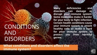 THE IMMUNE SYSTEM, COMMON DISEASES AND HERBAL MEDICINES | PPT