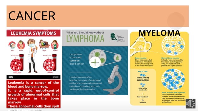 THE IMMUNE SYSTEM, COMMON DISEASES AND HERBAL MEDICINES | PPT