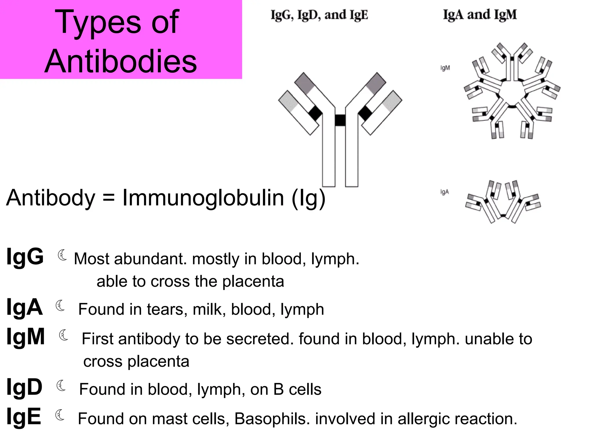 The Immune System (2).immunology of the human body | PPTX