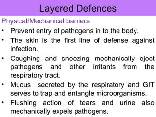 The Immune System (2).immunology of the human body | PPTX