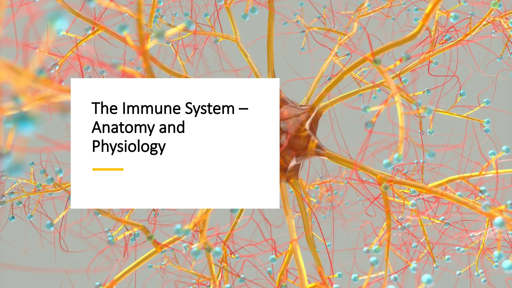 The Immune System – Anatomy and Physiology BCCM dentistry.pptx