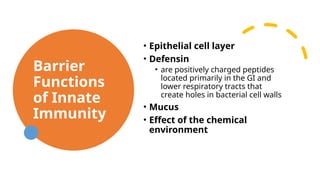 The Immune System – Anatomy and Physiology BCCM dentistry.pptx ...