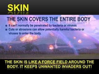 The immune system final | PPT