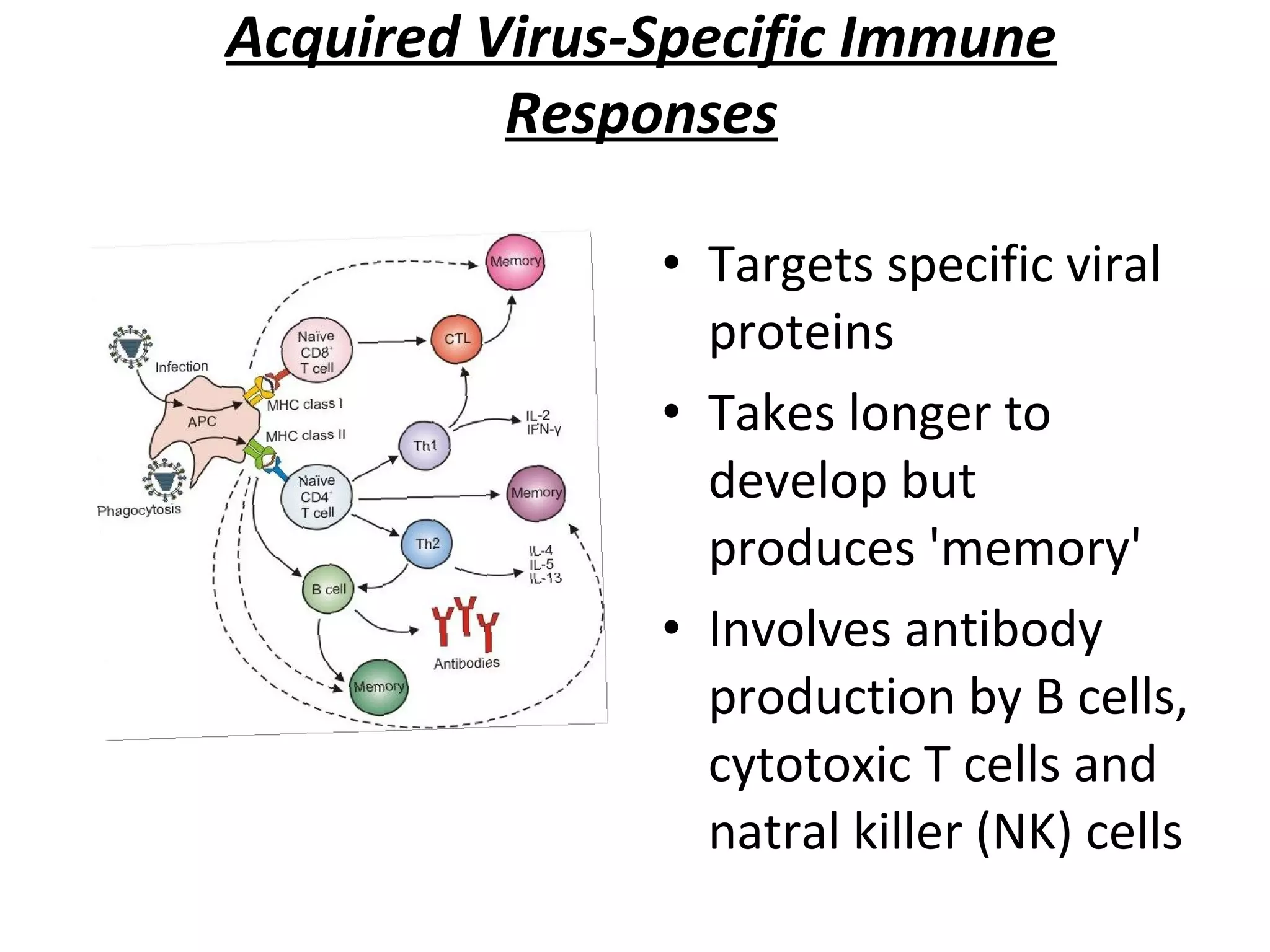 The immune system & viral specificity | PPT