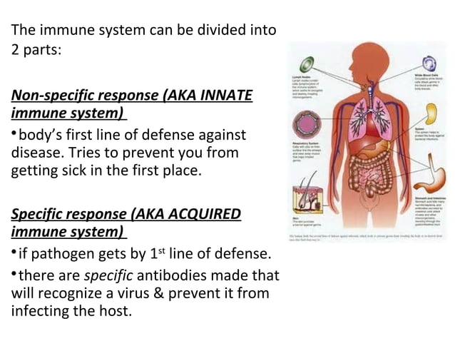 The immune system & viral specificity | PPT
