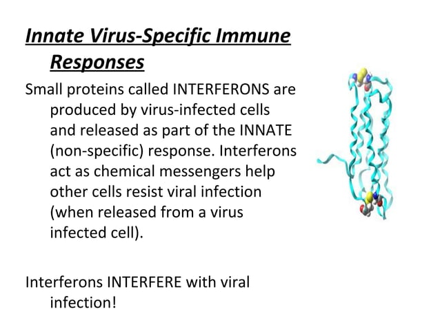The immune system & viral specificity | PPT