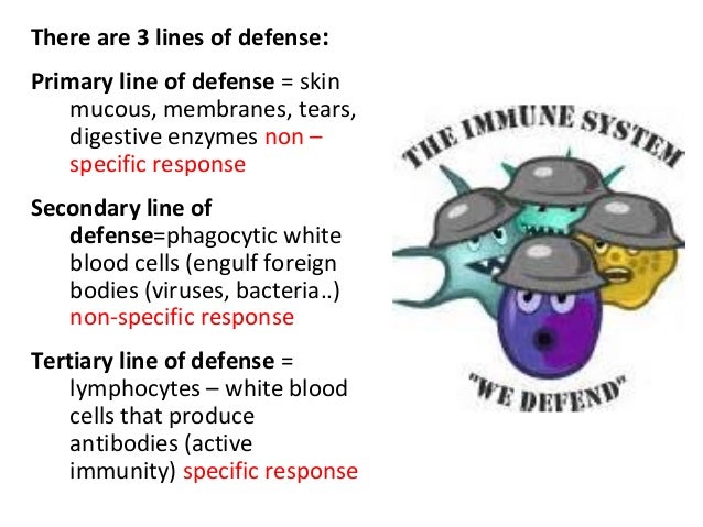The immune system & viral specificity