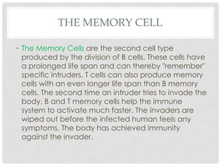 The immune system | PPT