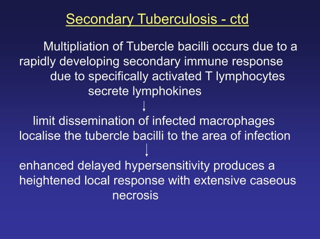 The immunopathology of Tuberculosis | PPT | Lung and Respiratory Health | Diseases and Conditions