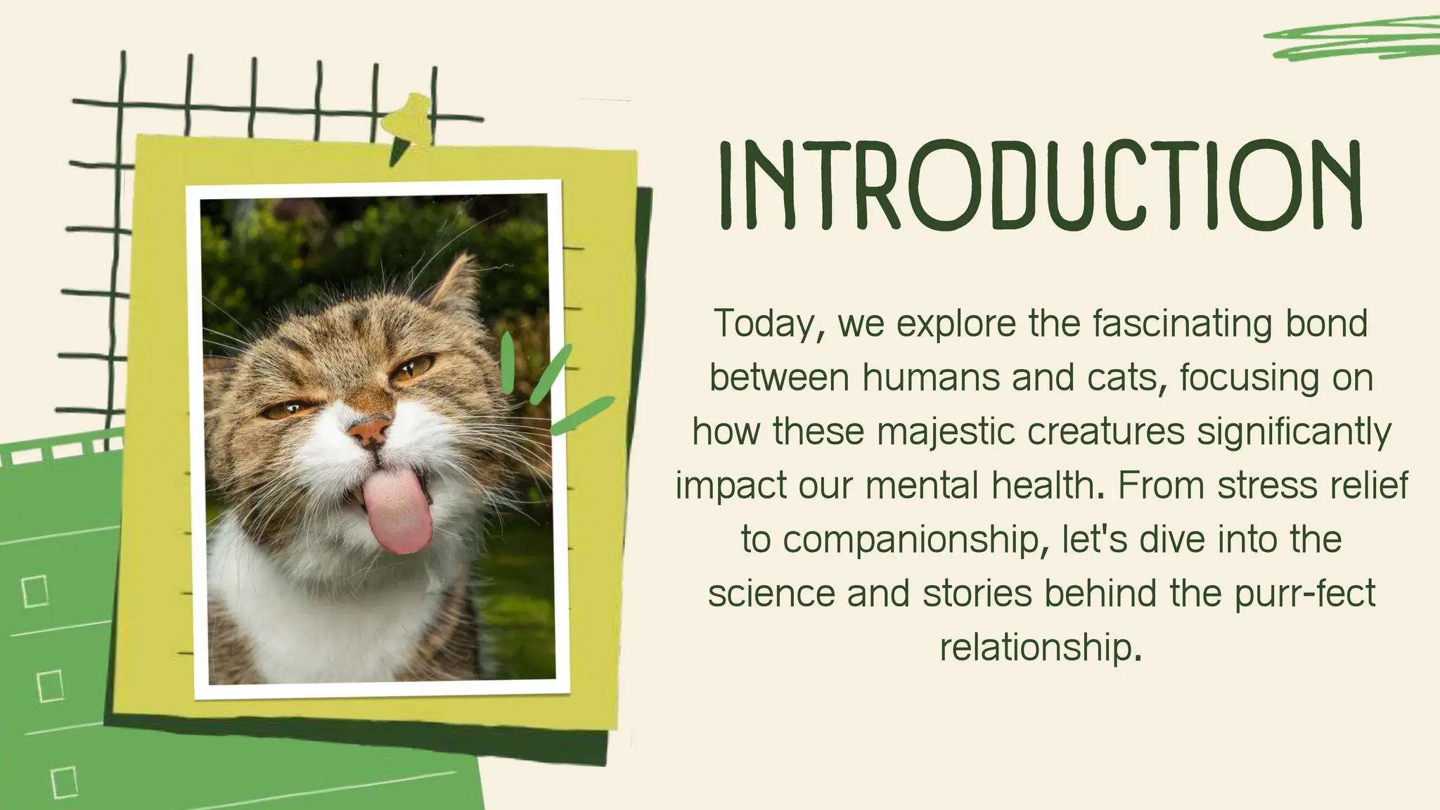 The Impact of Cats on Human Mental Health - Marta Loveguard ...