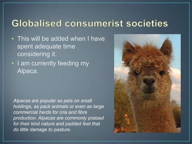 The impact of globalisation has on cultural diversity! | PPTX